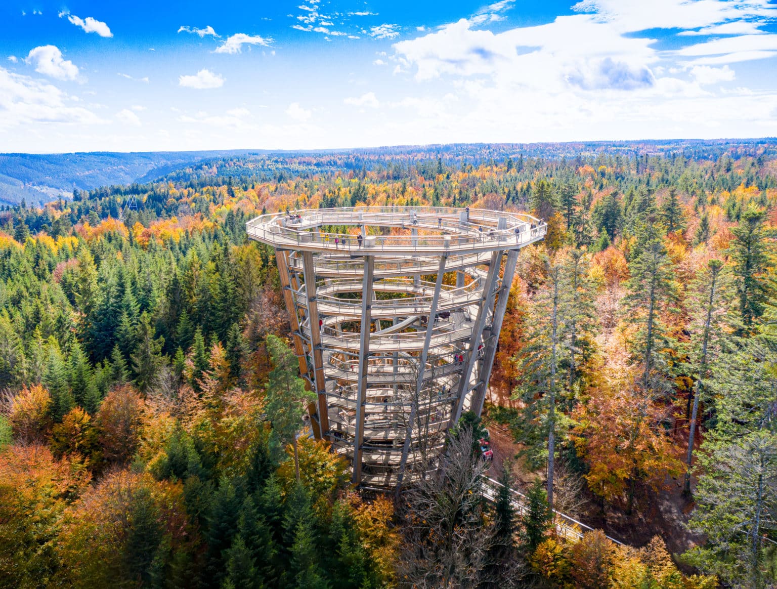 Baumwipfelpfad Schwarzwald | Mokni's Palais Hotel & SPA