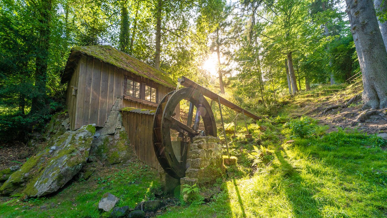Les attractions à Bad Wildbad | Mokni's